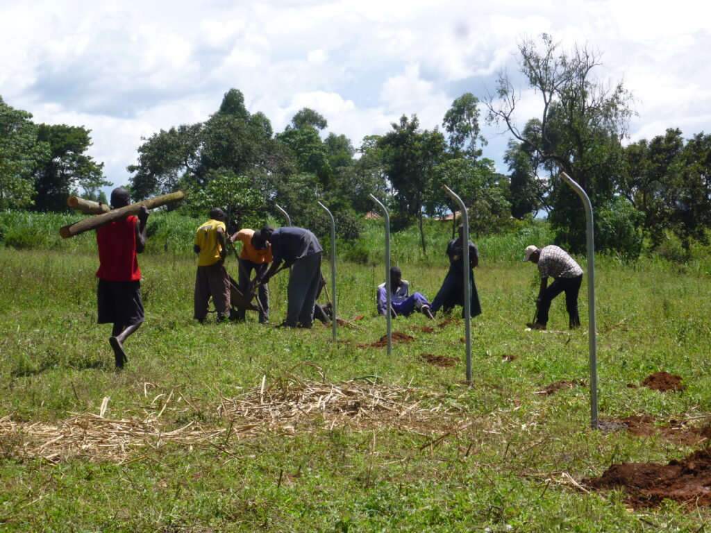 Kenya Agriculture Support and Environmental Conservation Project | JAT ...